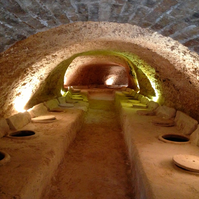 The Best Wine Regions to visit in Valencia